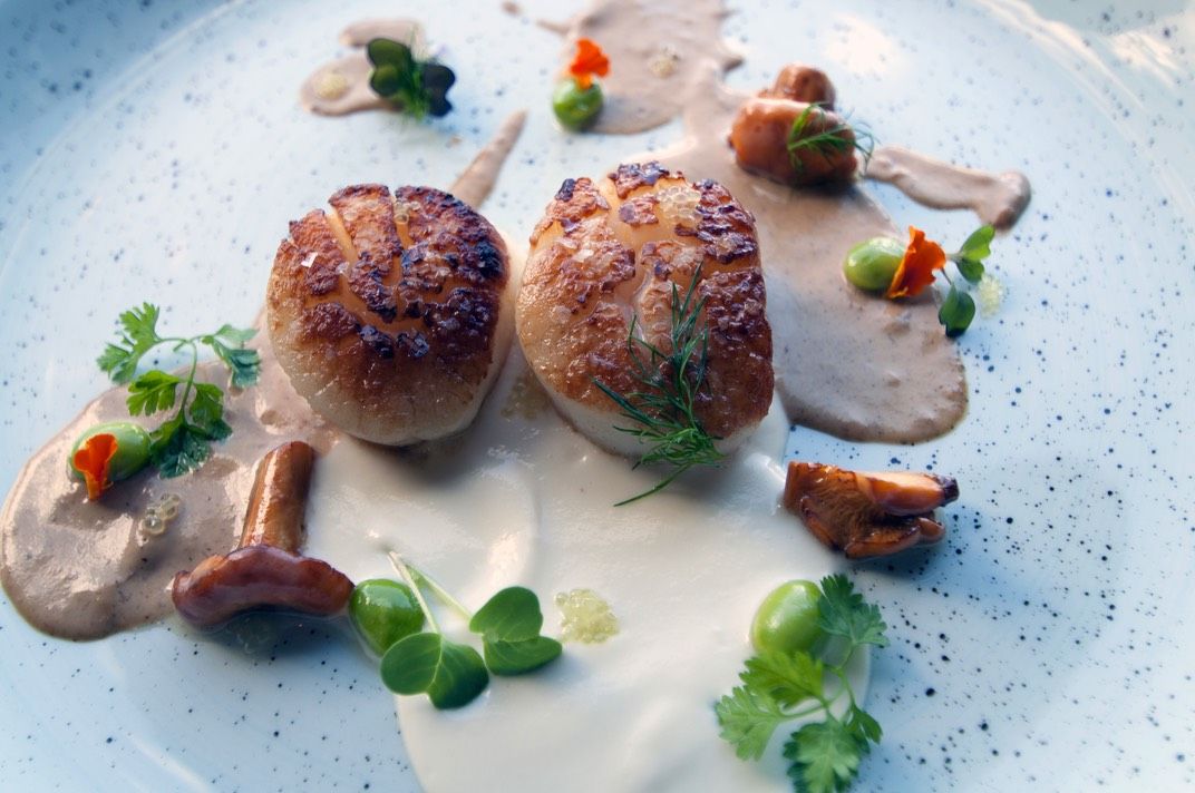 【絶景ビュー】バンフ・レイクルイーズで絶対に行くべきレストラン 7選を紹介します。 | Eastbound